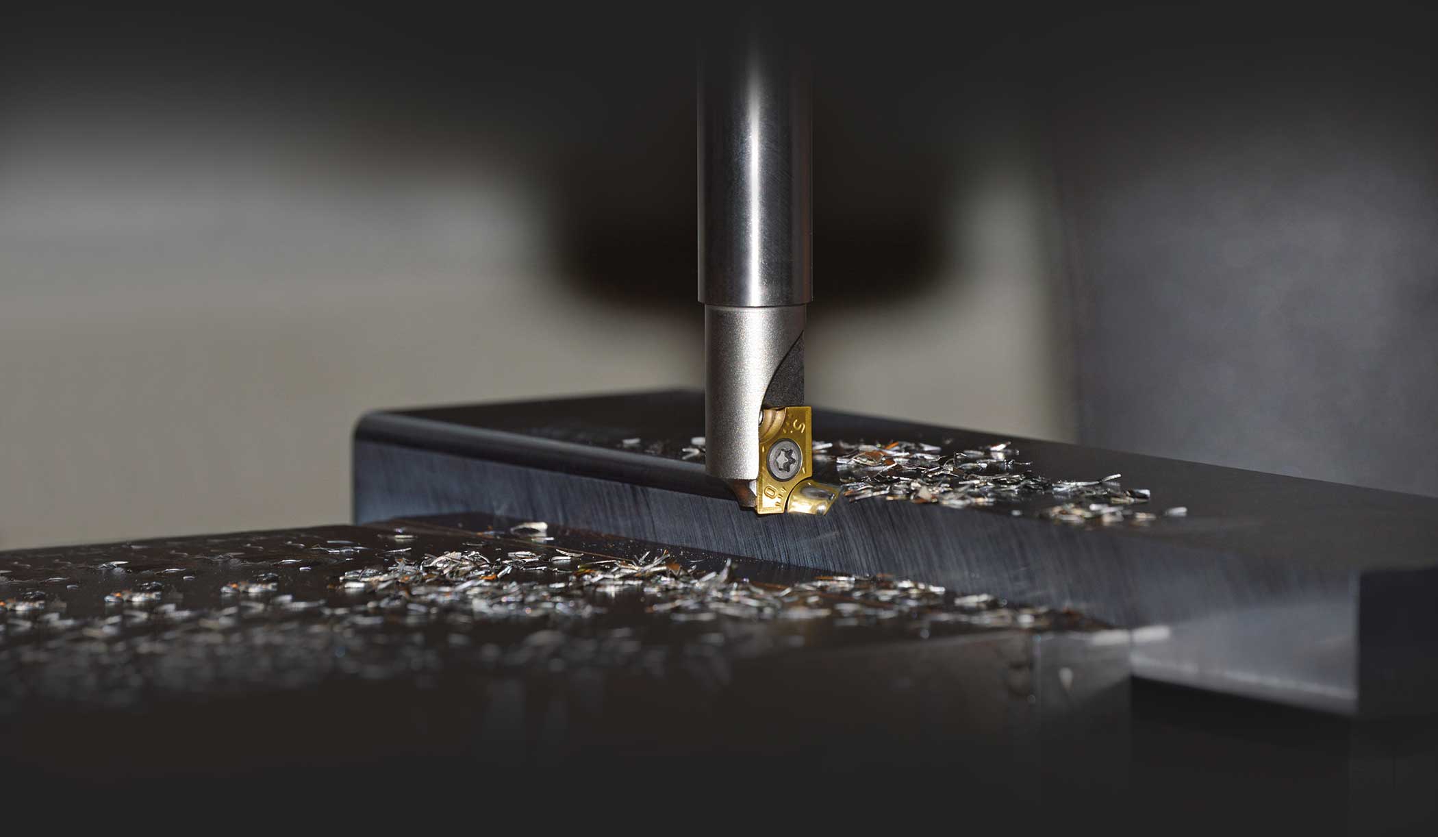 Cutting tools - Canela Tools